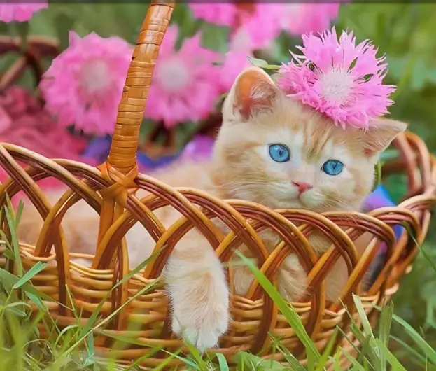 Kitty in Basket – Adorable Jigsaw Puzzle for Cat Lovers! 🐱